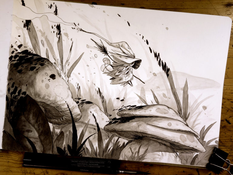 Coliandre // Xavier Collette