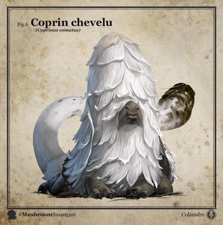 Coliandre // Xavier Collette